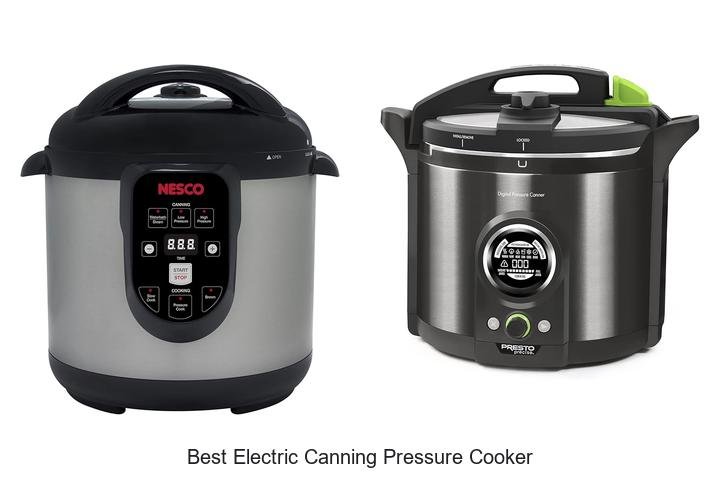 Top Electric Canning Pressure Cooker Revealed! – Noble Riot