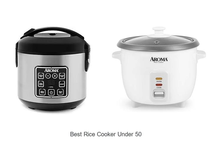 Find the Best Rice Cooker Under $50 Now! – Noble Riot